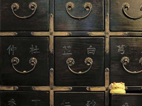 Spikenard and Myrrh: TCM: Basic Zang Fu Theory Part 1