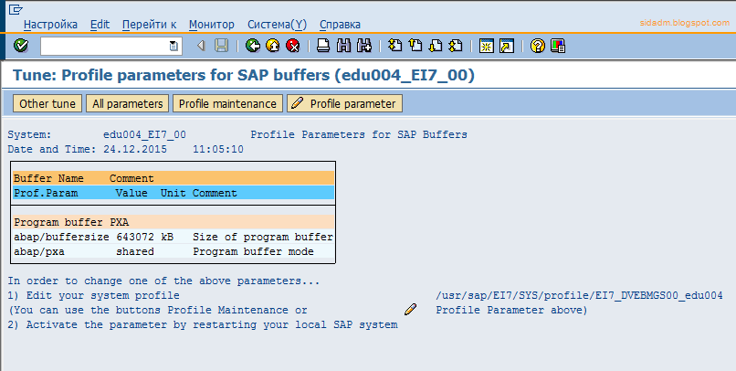 sidadm: SAP Program buffer