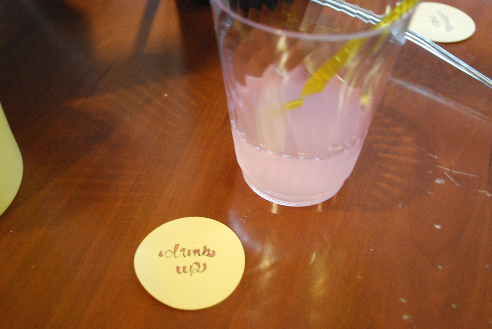 Sam Rosen: Spring Portland Blogger Cocktail party