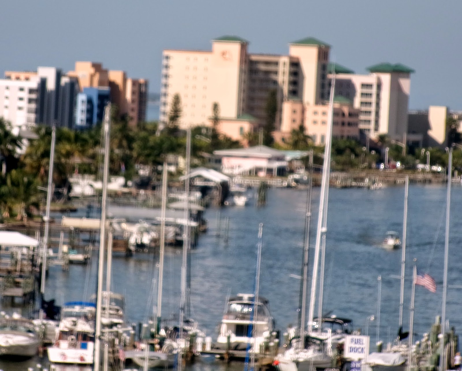 Leaps and Bounders: Darn Near Perfect Day on the Beach