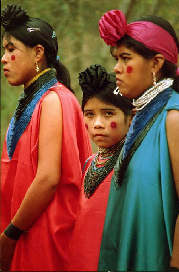 Guaraníes del Itika Guazu desplazados de la Festividad Guadalupana ...