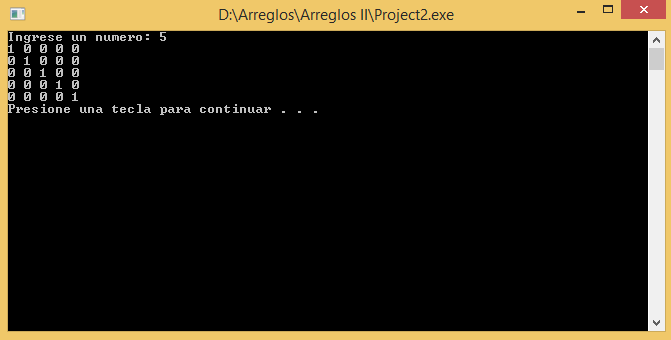 Programación en C++