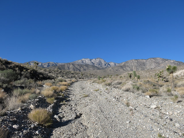 Explore A Bit More: Lee Flat, Darwin Plateau Exploration, October 12th ...