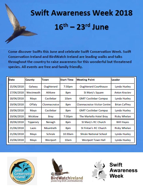 Life on the Wing: Press Release - Raising awareness for Swift ...