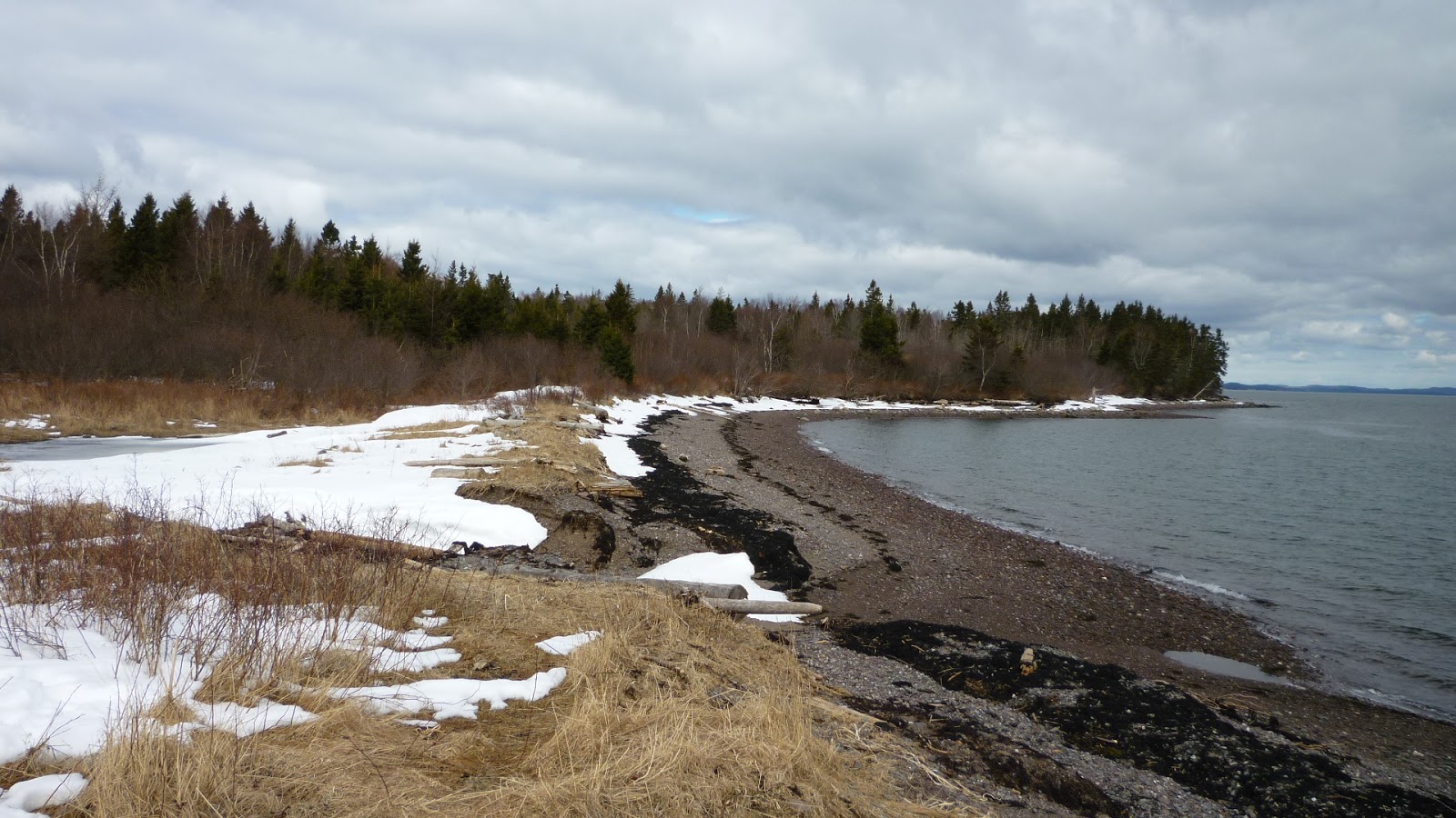 Daily Pics photographs by Caren-Marie Michel: Oven Head Cove, New ...