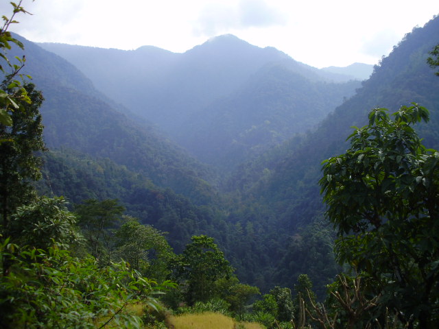 Lingsey Eco Tourism (LET): Neora valley National Park