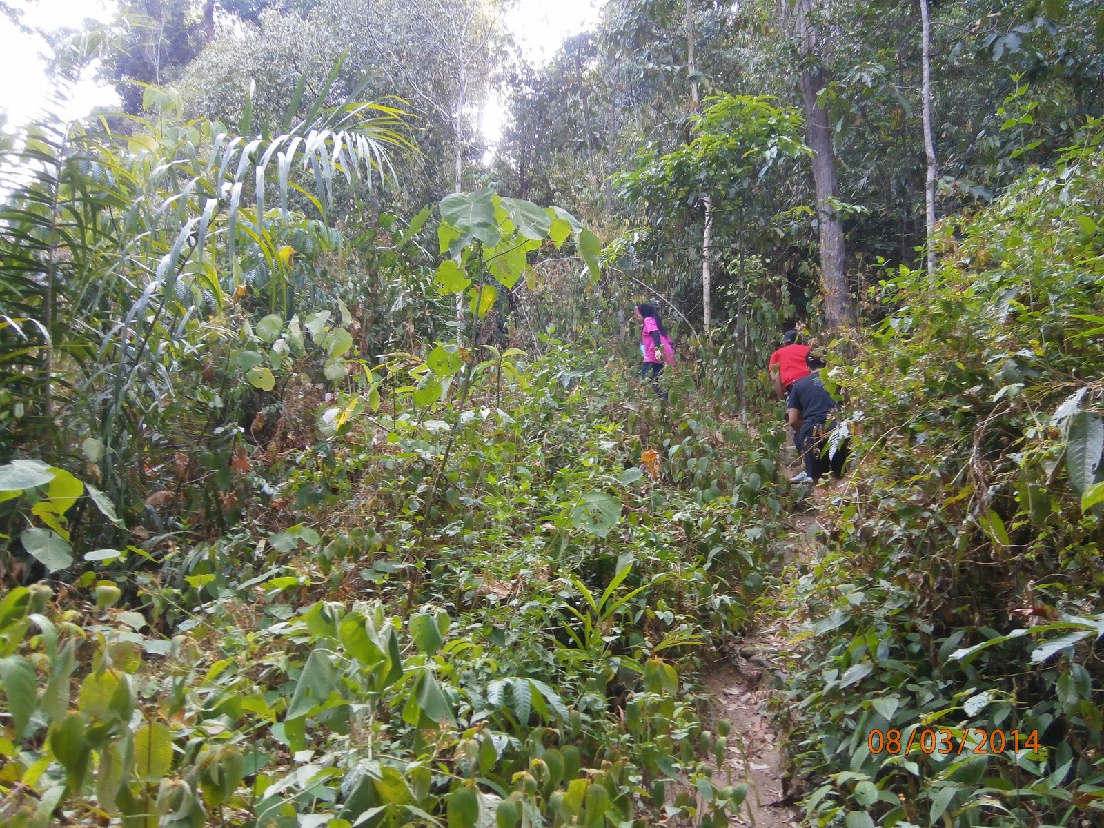 KEMBARA ALAM AADK: Pendakian Gunung Raya, Pulau Langkawi Kedah