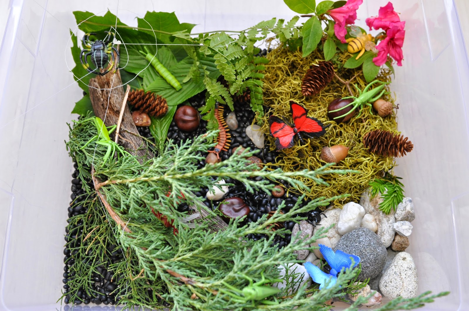 Creative Projects for Kids: Insects Sensory Bin