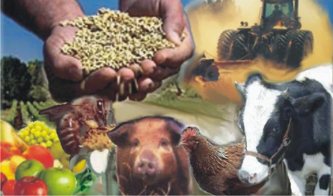 .: O que estudamos no curso Agropecuária?