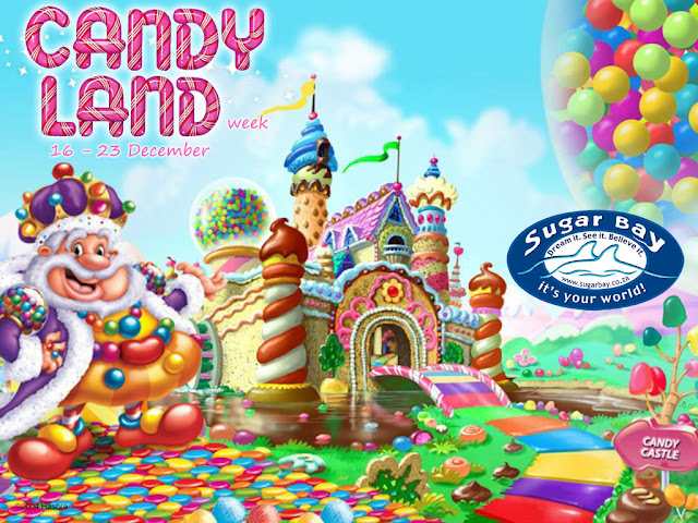 Upcoming December/January Holiday Camps