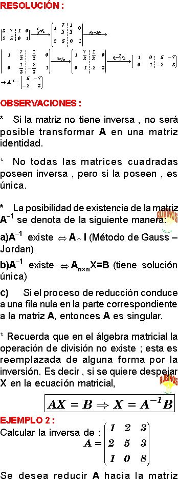 DETERMINANTES EJERCICIOS RESUELTOS PDF