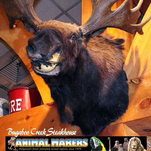 Words and Music: Talking Heads: Remembering Bugaboo Creek