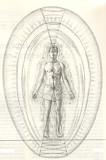 TERAPII ALTERNATIVE: Meridianele energetice