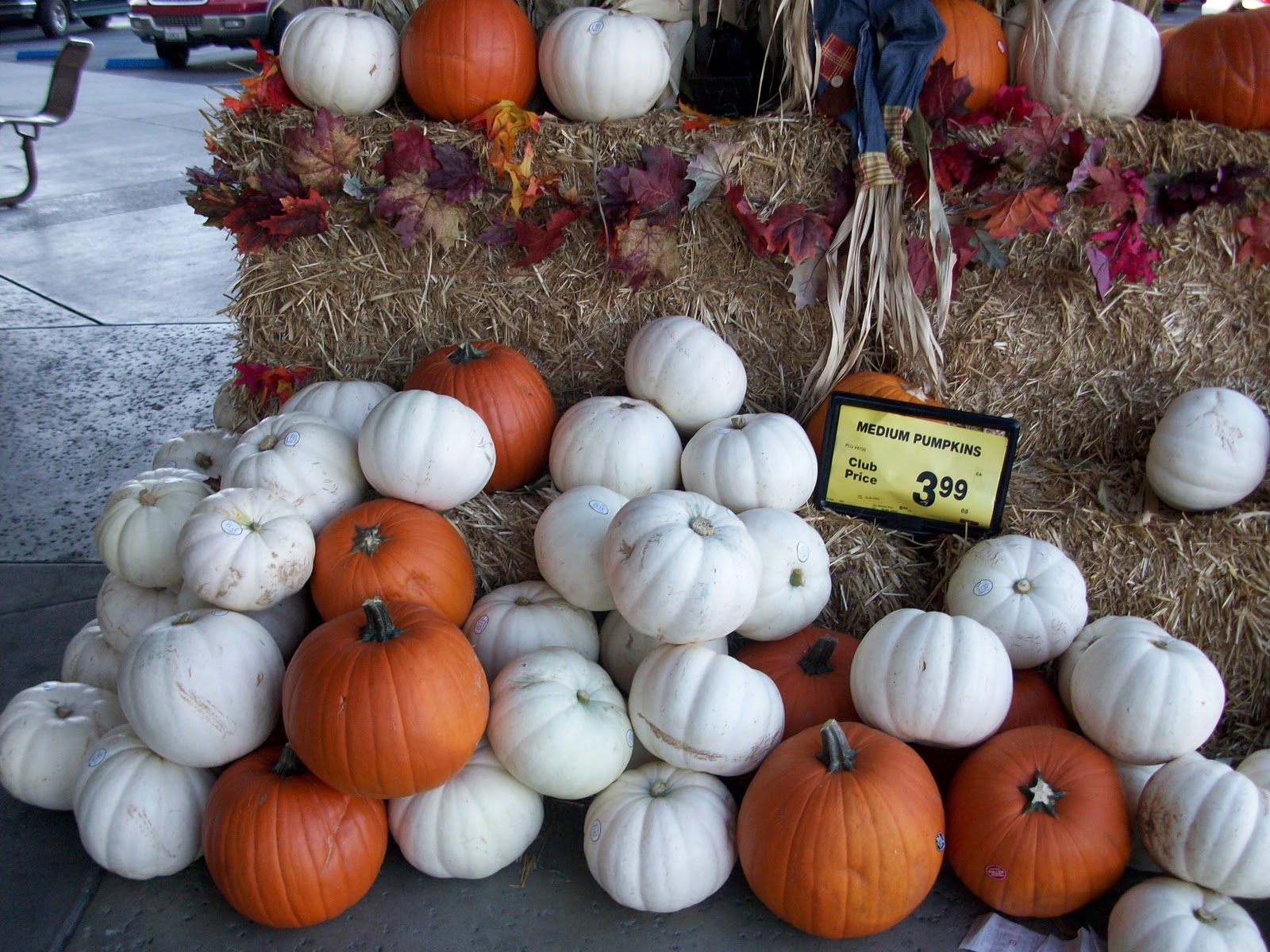 Whatever I Think Of!: Pumpkin Displays at Safeway