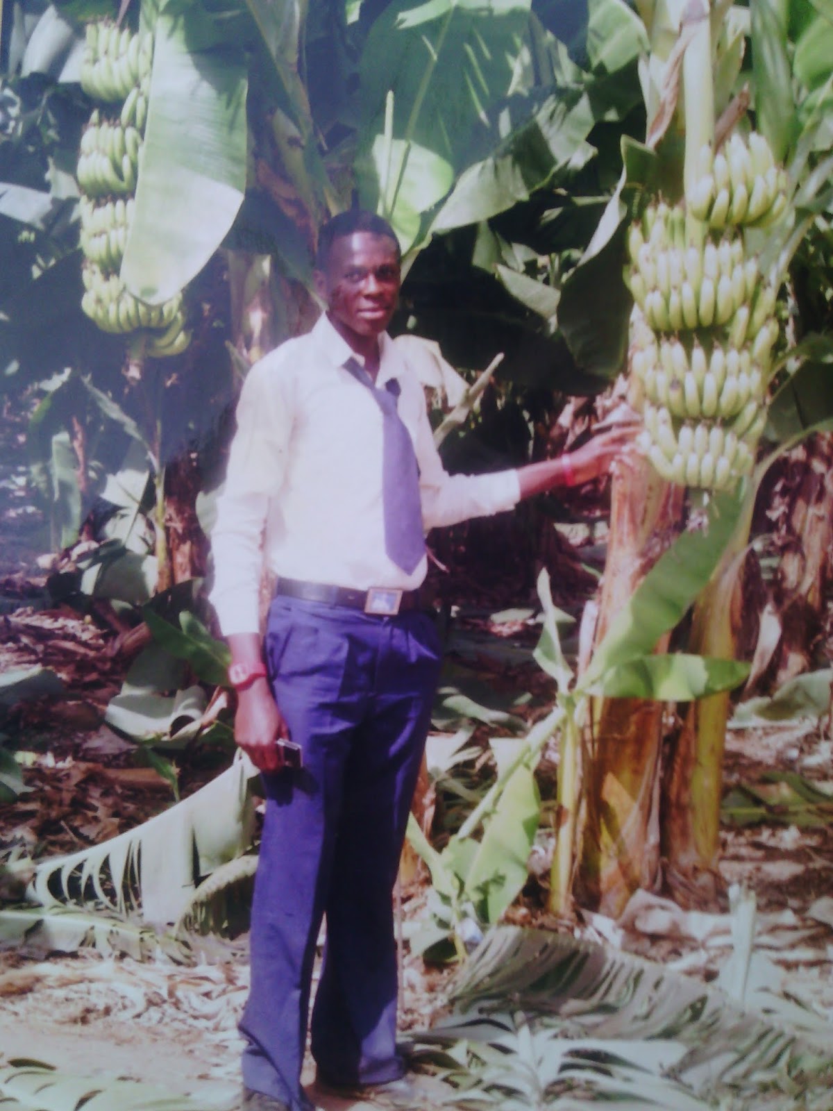 Shonga Farms Holding - Shonga Kwara State | Farming in Nigeria