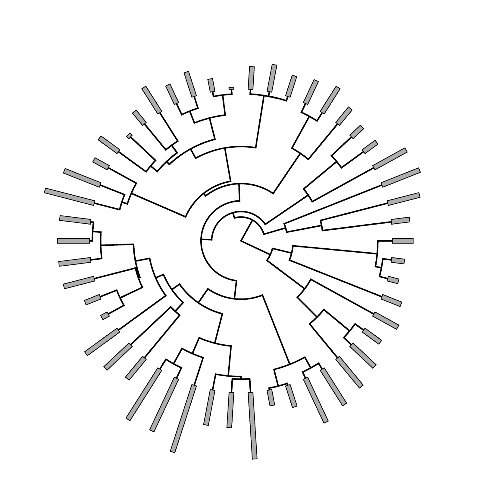 Phylogenetic Tools For Comparative Biology Plotting Bars At The Tips Of A Circular Tree