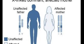 Living with Kennedy's Disease: Can Carriers of Kennedy's Disease ...