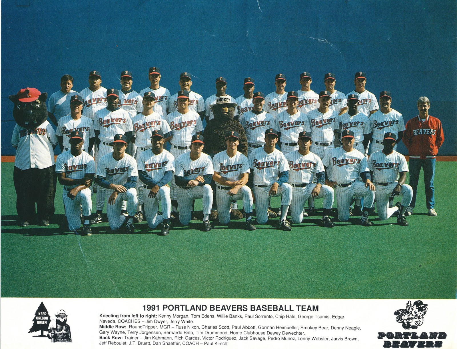 Clyde's Stale Cards: Player Collecting: Team photos, remember those?