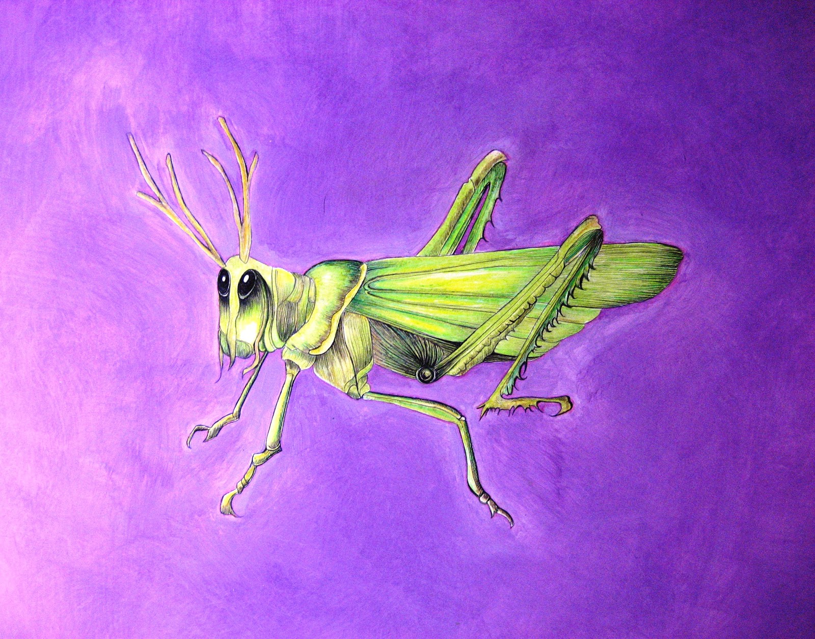 MB Leonard Art: A Year in Paintings: October 11, 2012 - Grasshopper