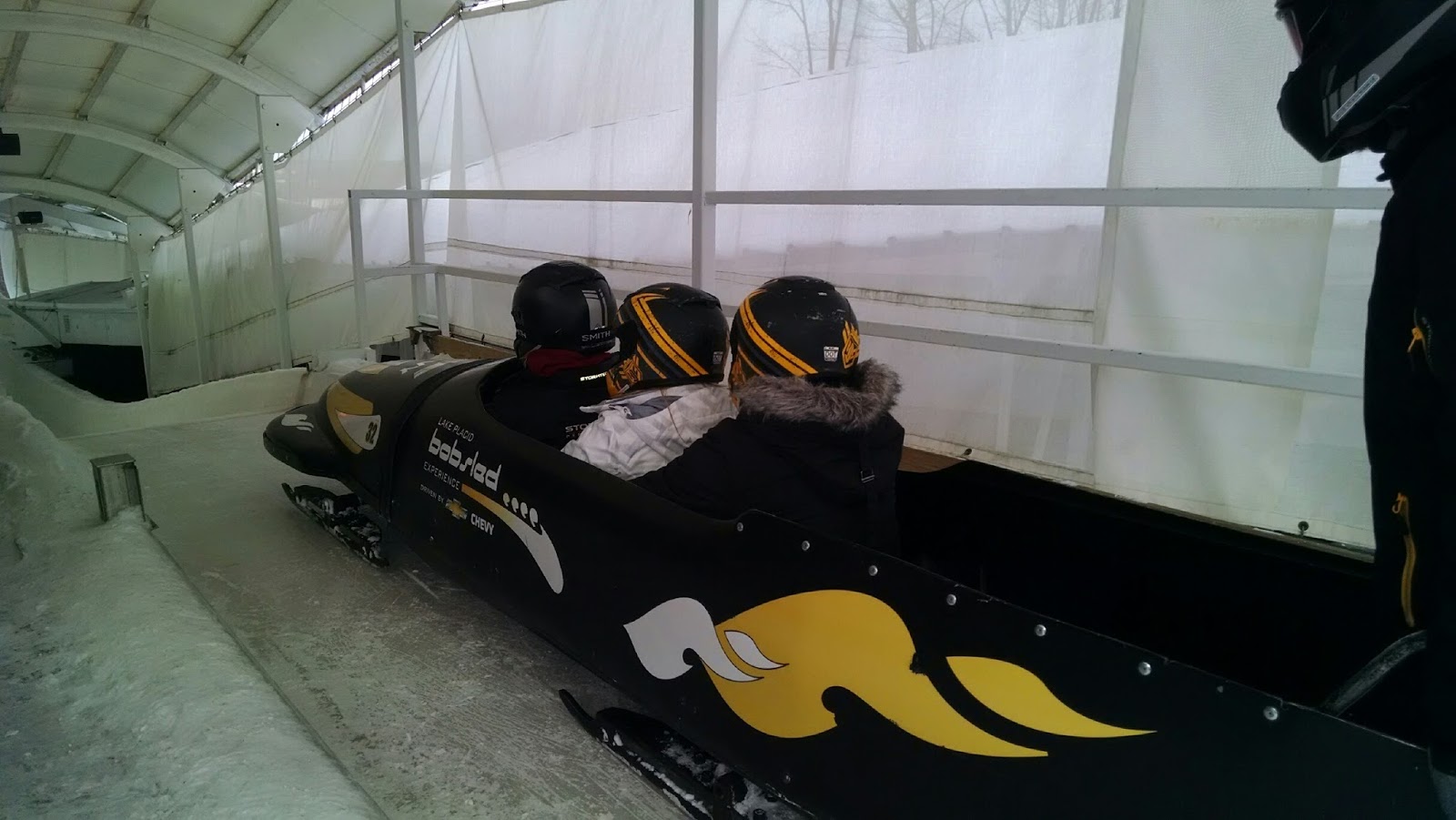 Empty Nest -Whimsical Journey to Survive and Self Actualize : Day 186 ...