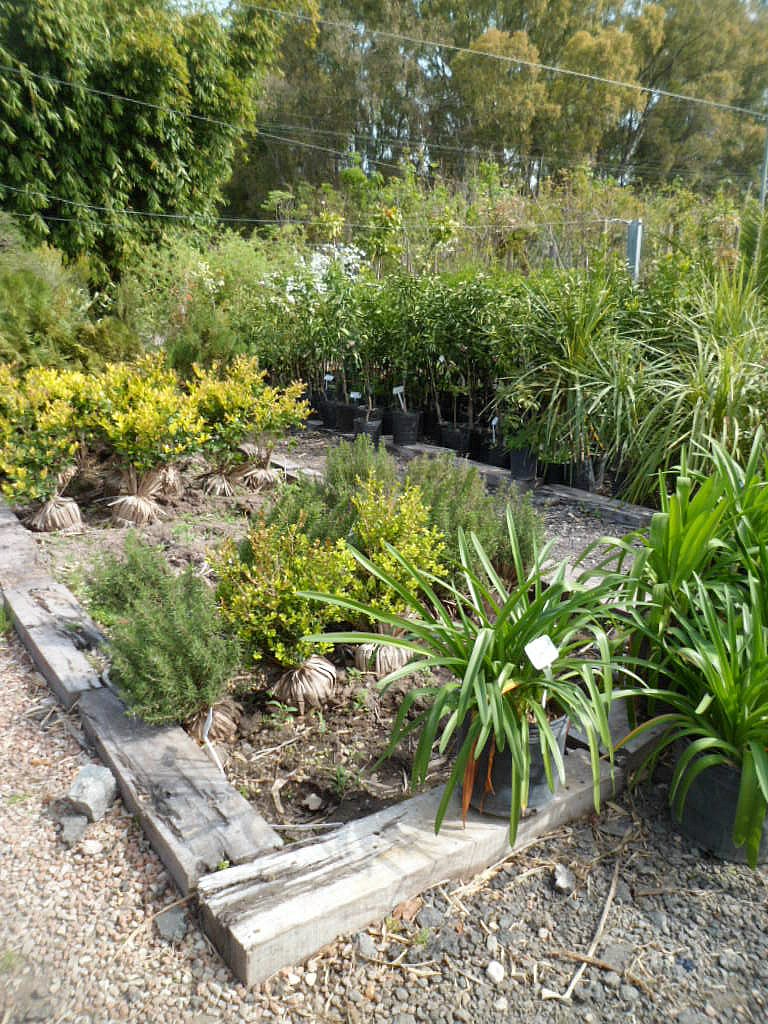 Vivero Agronomía / Roxi Ameduri Marchettini