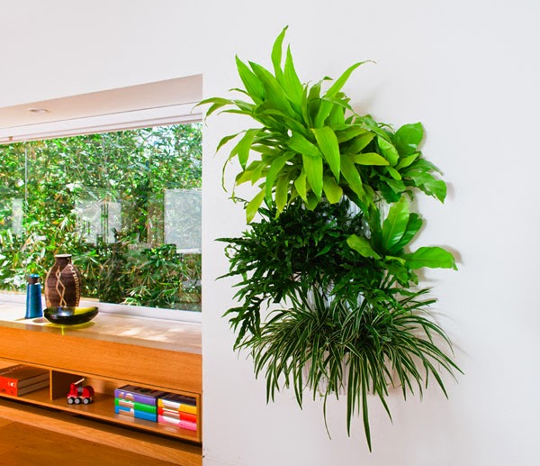 PLANTER WALL @ TANAMAN DINDING ~ Rumah Idaman