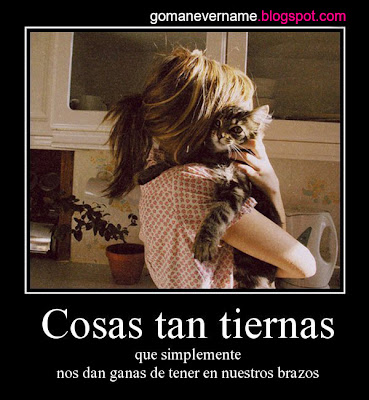 COSAS TIERNAS REFLEXIONES ~ Gomanevername