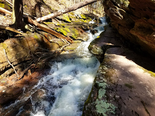 Hiking Trails in NJ and PA: Hiking the Van Campens Glen Trail