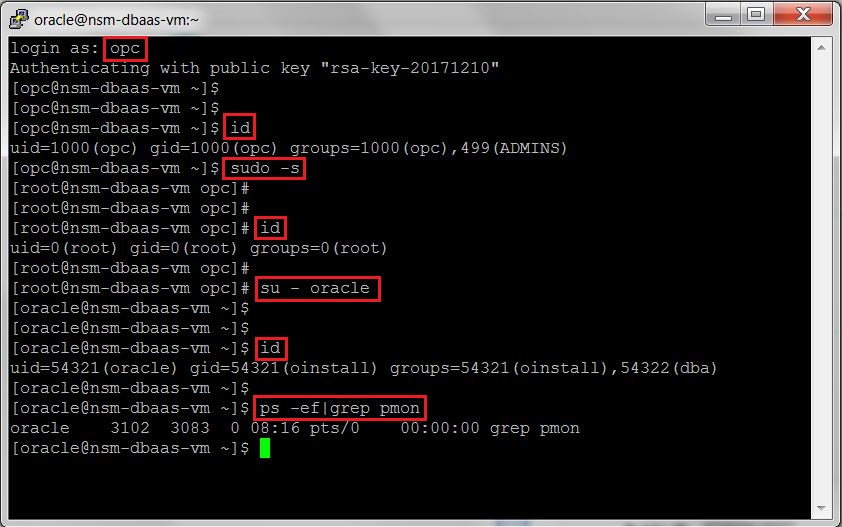 Netsoftmate Technical Blog : Oracle DBCS : Create Virtual Image ... Netsoftmate Technical Blog : Oracle DBCS : Create Virtual Image ...