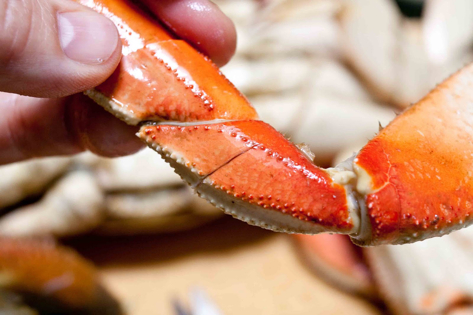 FOODjimoto: Dungeness Crab Appetizer Plate