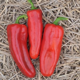 Ozark Mountain Family Homestead: Organic Heirloom Plants