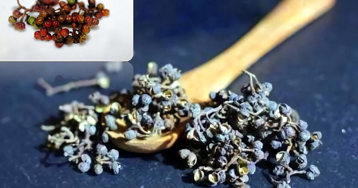 Pimienta Andaliman/Andaliman Pepper