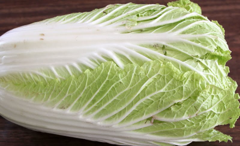 My Mountain Garden Gleanings: Sui Choy Salad