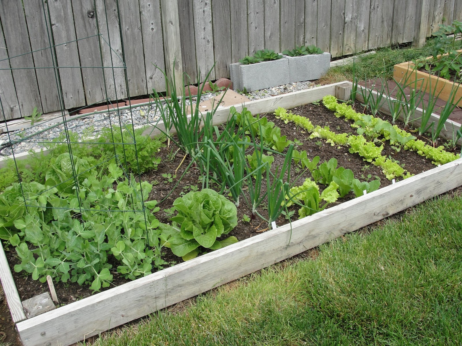 Lessons from the Garden: Spring Gardening (slow start but finally here)