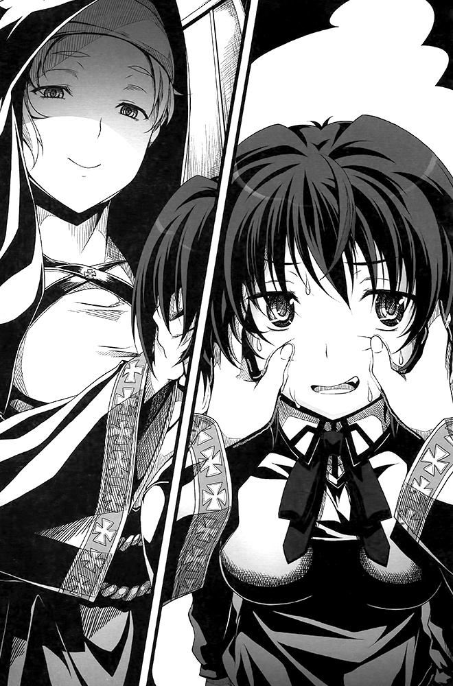Highschool DxD DX LN illustration - Volume 1 - Novel illustrations