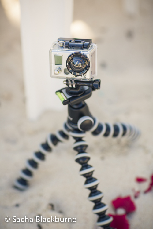 Sacha Blackburne Photography: Nicole & Nick - Jobson's Cove, Bermuda ...