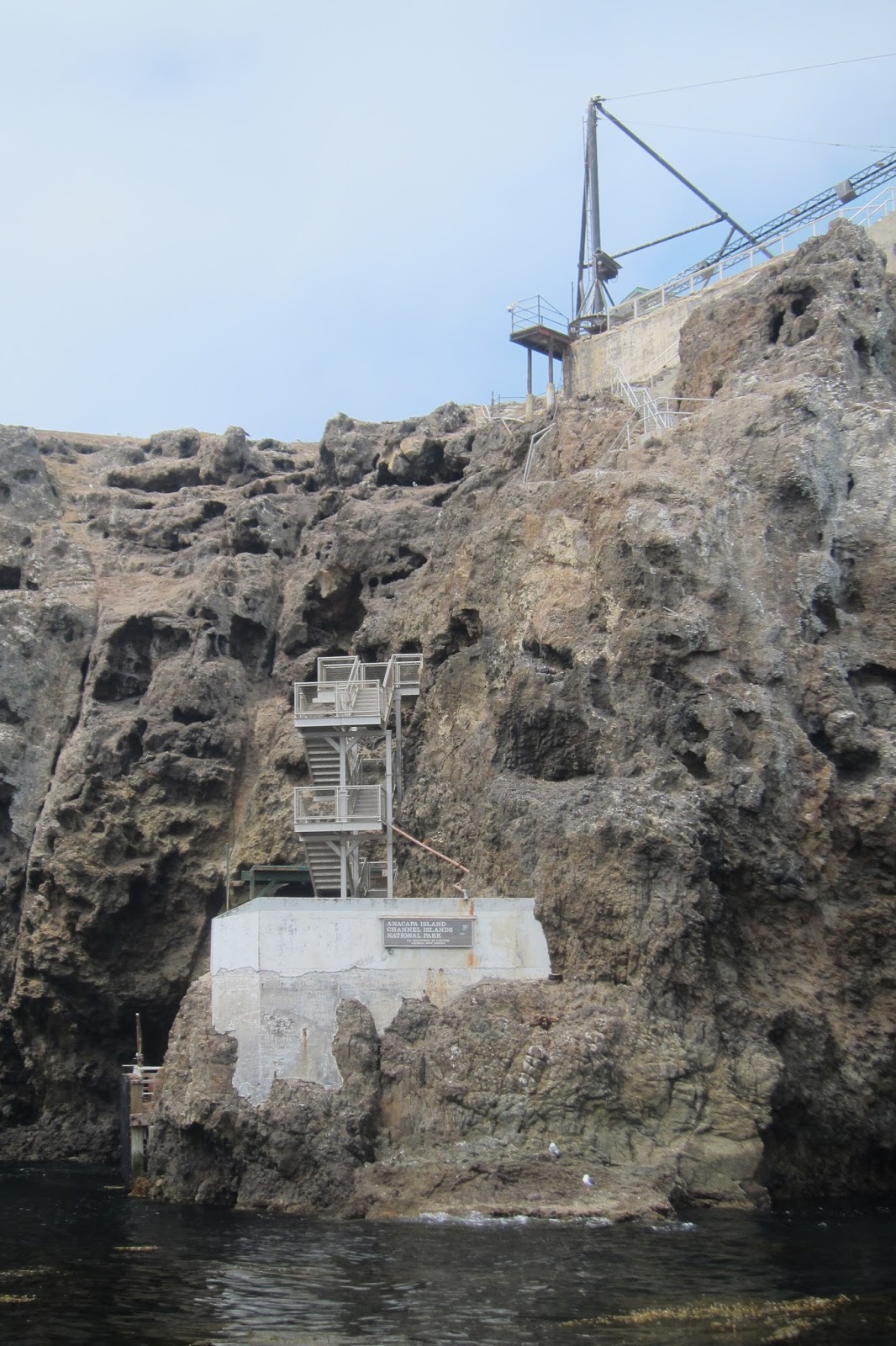 Expeditions by Tricia: ANACAPA ISLAND EXPEDITION!!