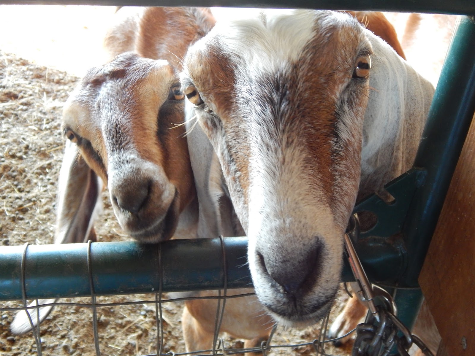 Thoughts from Frank and Fern: This View's For You