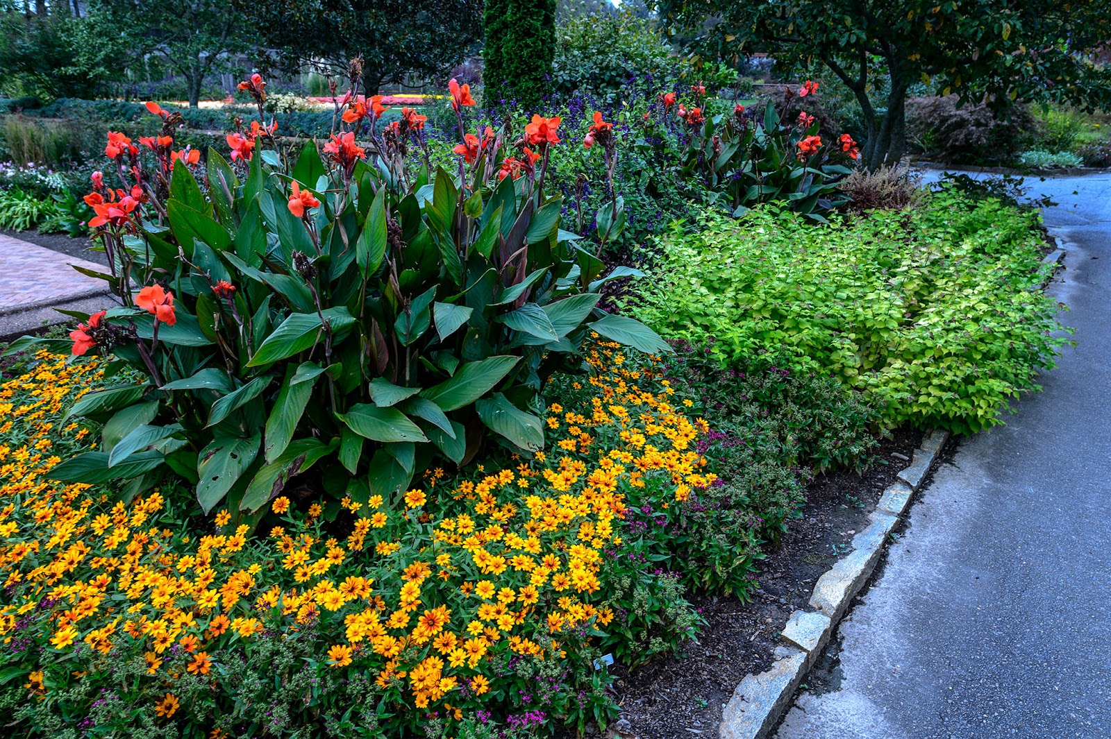 Bubba's Garage: Photos of Biltmore Gardens in the Fall