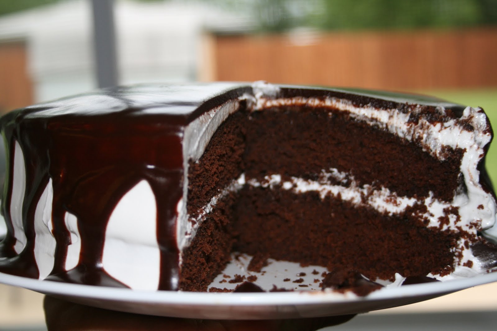 Noodles and Needle Pricks: Seriously, The Best Cake I Ever Made...