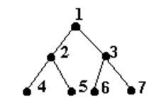 Arbori: Clasificarea arborilor binari