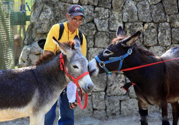 For your eyes only: In olagh ha ham beh ham residan .....