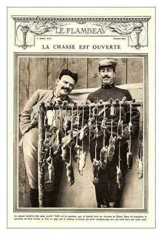 Military History Of the 20th Century: Trench Rats Of World War 1photo 7