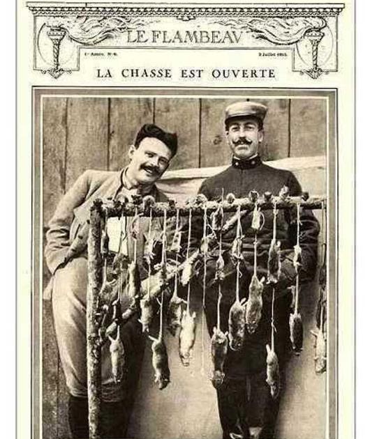 Military History Of the 20th Century: Trench Rats Of World War 1photo 7