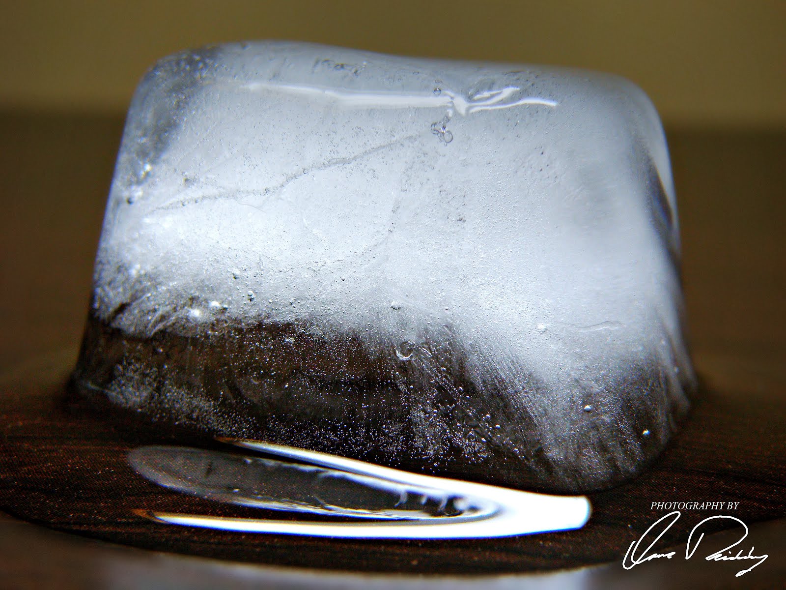 Photography by Issaac Rickenberg: Melting