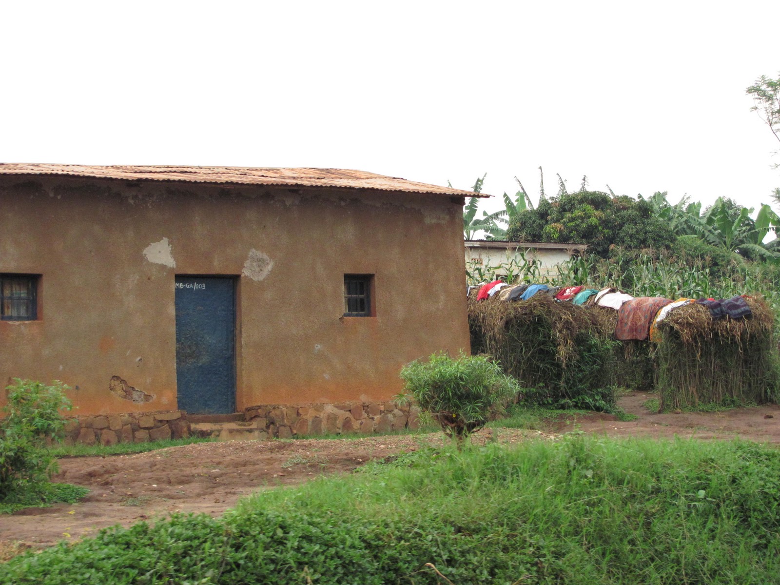 Dio Mass College Pilgrims: Hope in Rwanda: Celebrating the Power of Healing