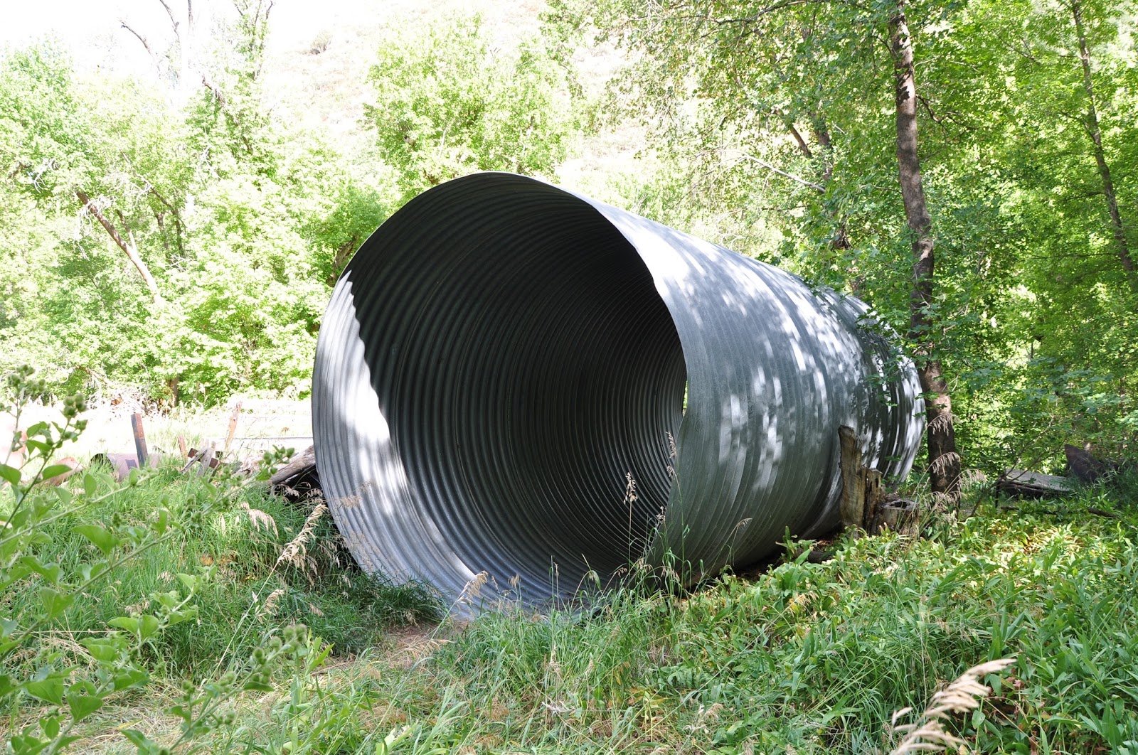 Jolley's Ranch: On-Site Possibilities