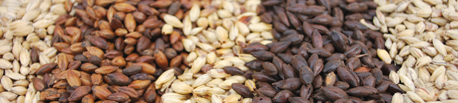 Grain Substitution Chart | Brew Day