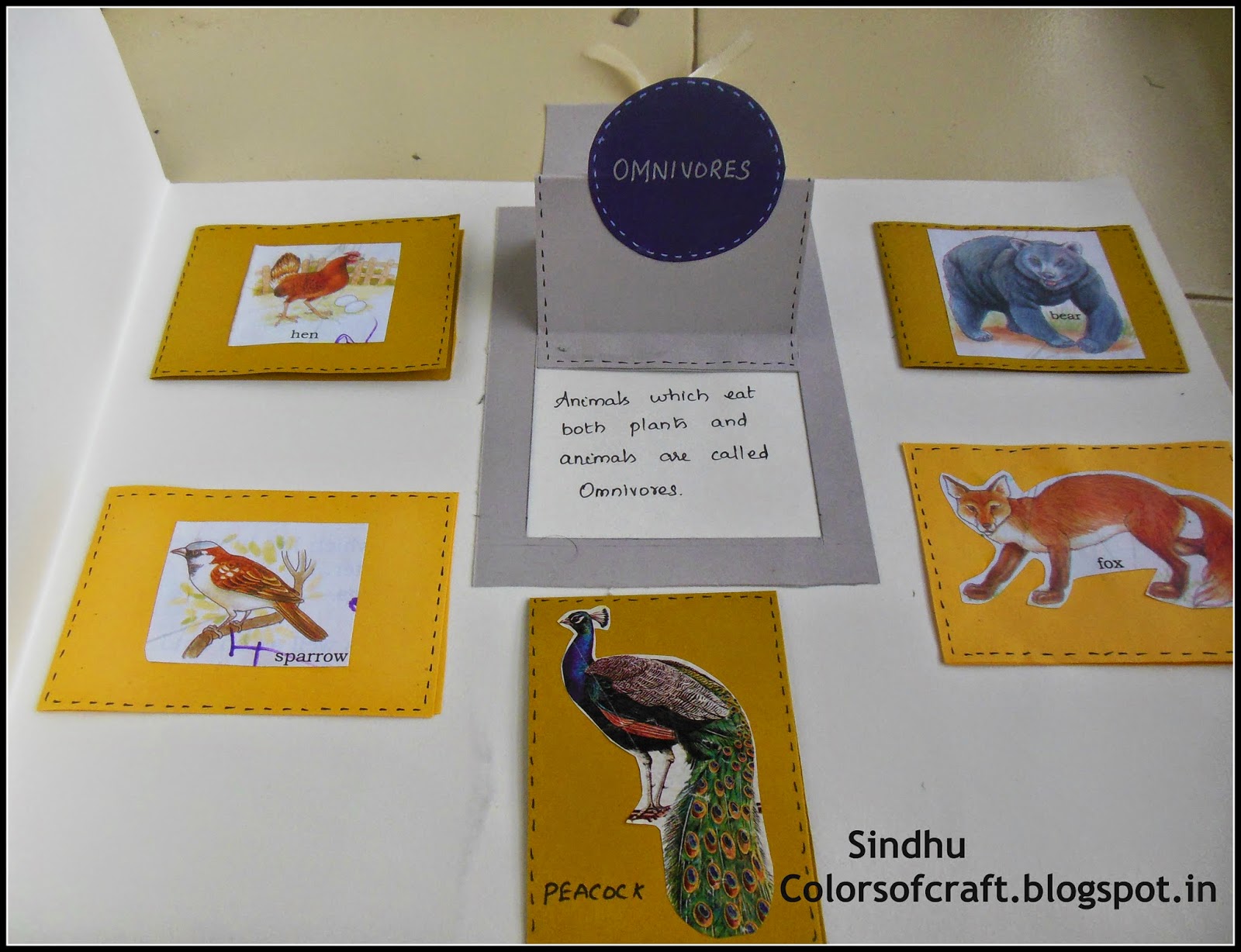 Colors of My Crafty World: Eating habits of Animals - School Project