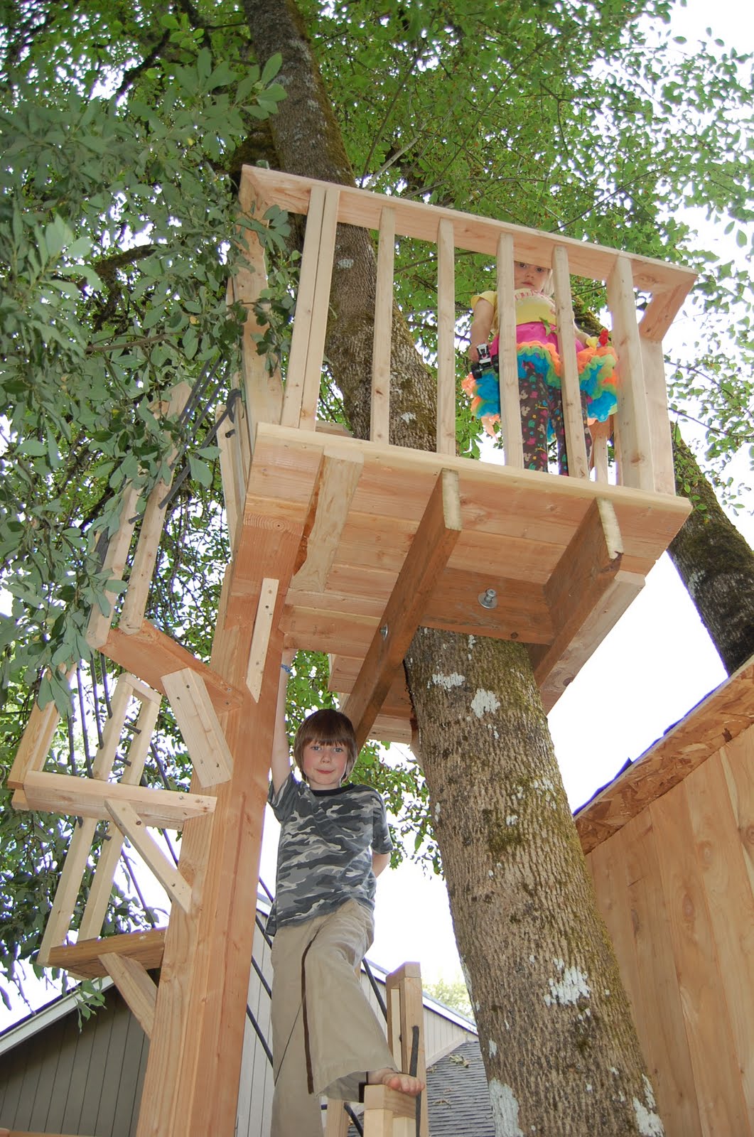 The Knight Life: Tree Fort & Backyard